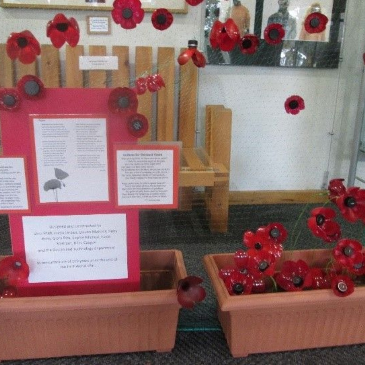 Highlands School - Poppy Appeal